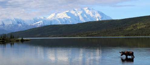 Alaska Land Tour Itineraries | AlaskaTravel.com