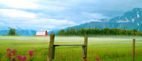 Best Things To Do in Palmer Alaska | AlaskaTravel.com