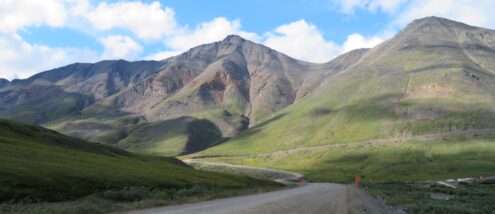 Alaska Mosquitoes | What You Need to Know | AlaskaTravel.com