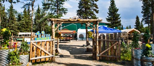 Best Places to Eat in Denali National Park | Top Picks for Denali Park ...