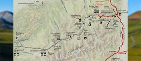 2026 Denali Park Road Information | Denali Tours & Lodging ...