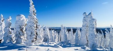 Alaska Aurora Tours | Arctic Circle, Fairbanks | AlaskaTravel.com