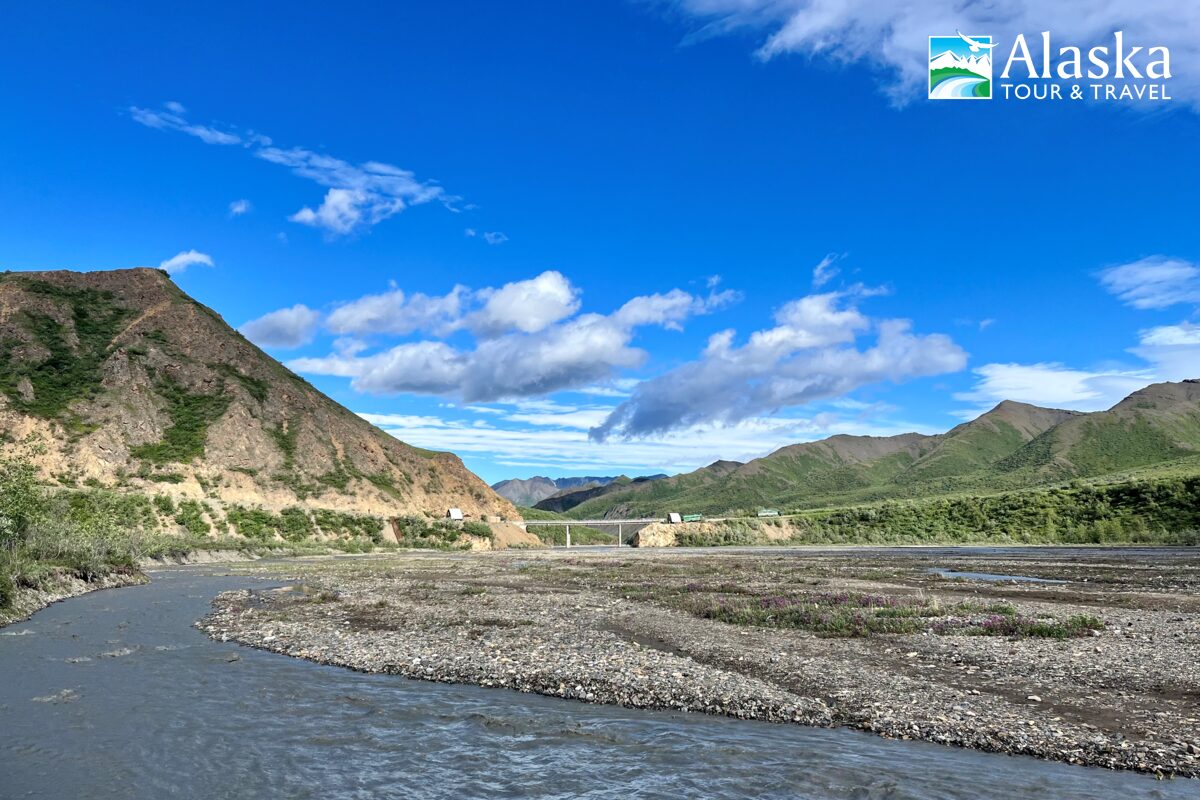 Guide to Getting Around Denali Without a Car | AlaskaTravel.com